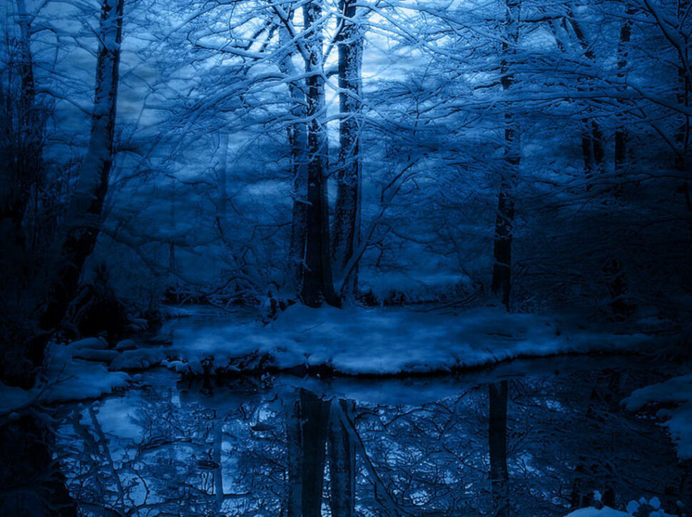blue-winter-trees-forest